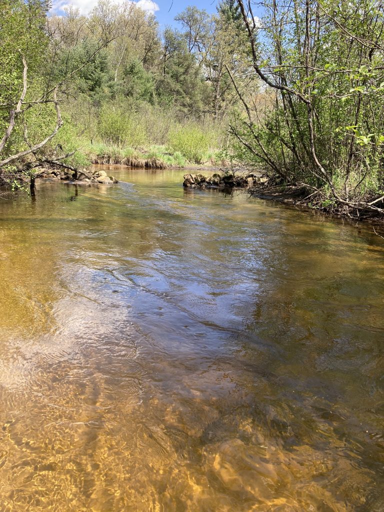 Nutrient monitoring on Wisconsin’s waters: What does it all mean ...