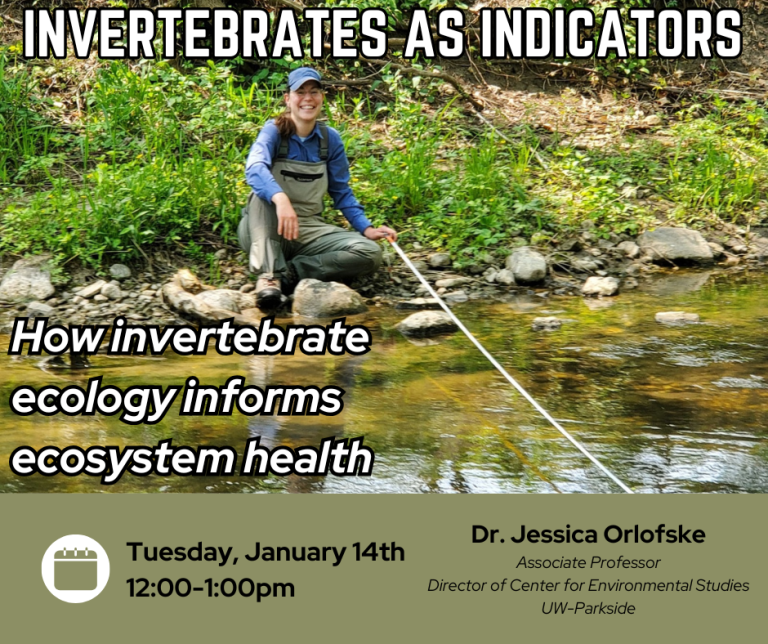 Invertebrates as Indicators: How invertebrate ecology informs ecosystem ...